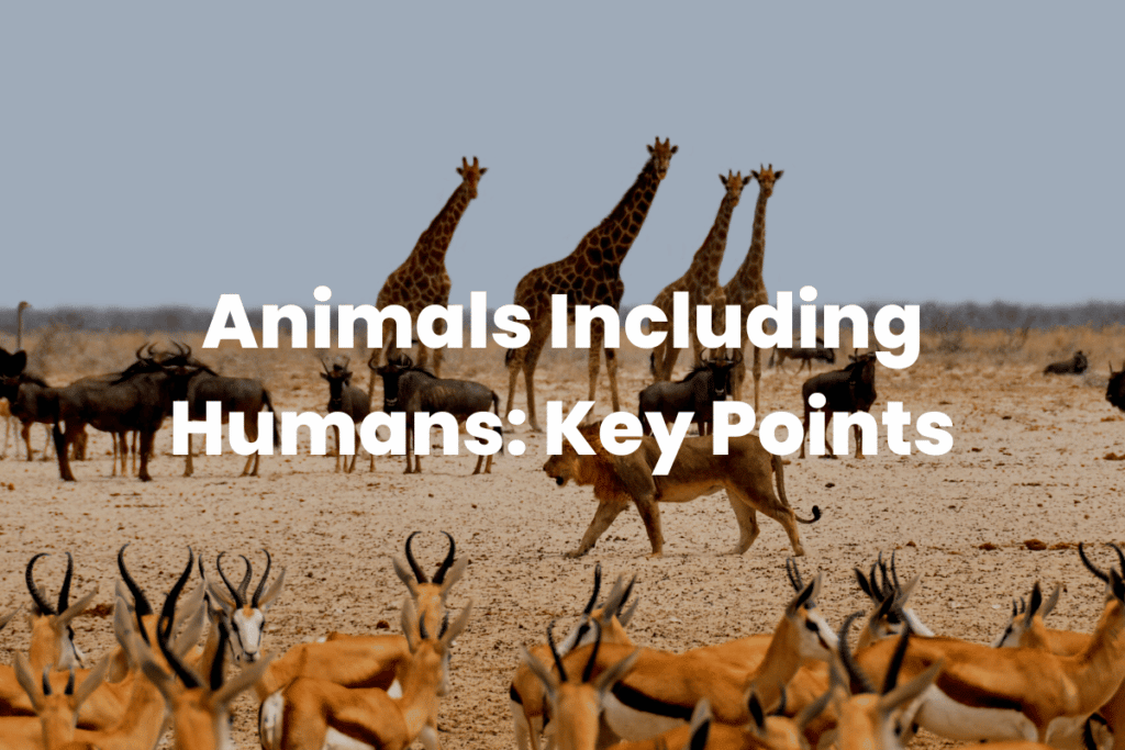 Animals Including Humans: Key Points - The Teaching Couple