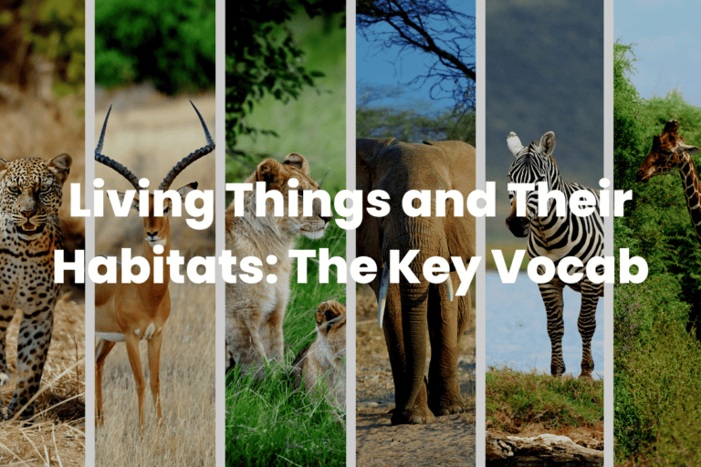 Living Things and Their Habitats: The Key Vocab - The Teaching Couple
