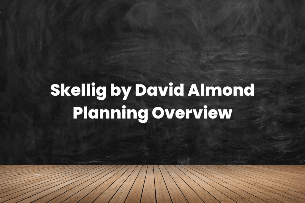 Skellig by David Almond - Planning Overview - The Teaching Couple