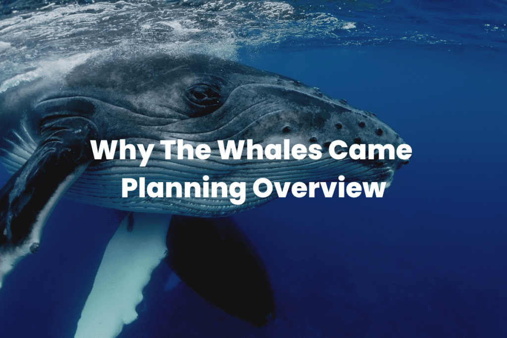 Why The Whales Came - Planning Overview - The Teaching Couple