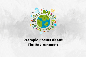 30 Poems About The Environment - The Teaching Couple