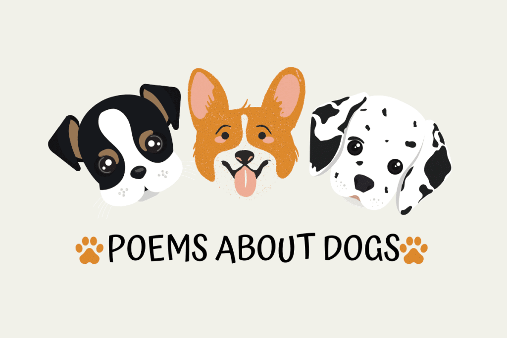 30 Poems About Dogs - The Teaching Couple