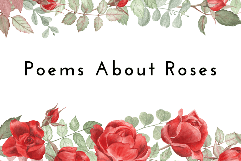 30 Poems About Roses - The Teaching Couple
