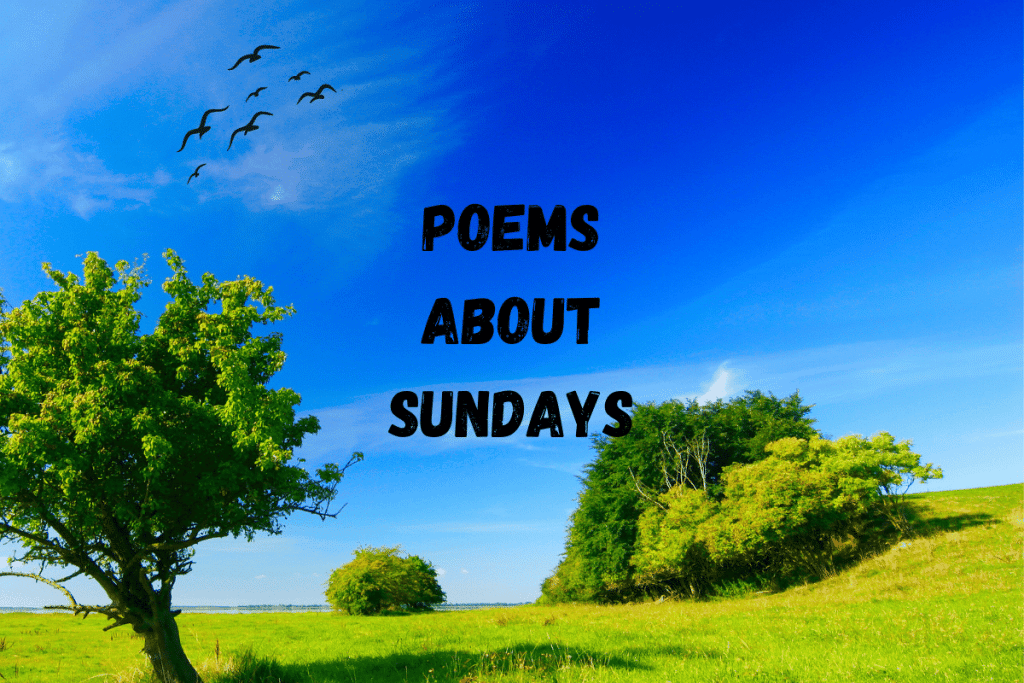 10 Tips For Teaching About The Weather - The Teaching Couple