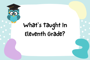 What's Taught In Eleventh Grade? - The Teaching Couple