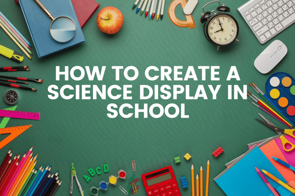 How To Create A Science Display In School - The Teaching Couple
