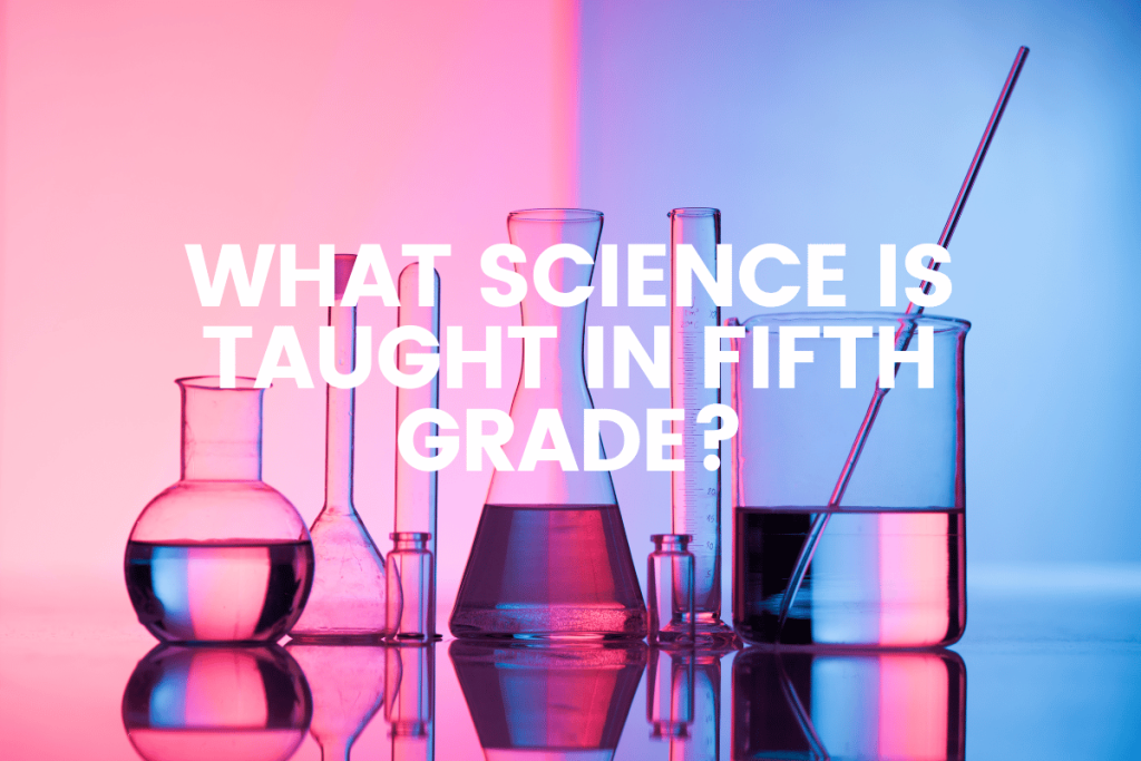 What Science Is Taught In Fifth Grade? - The Teaching Couple