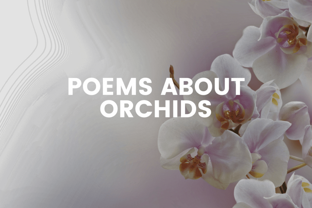 Spelling Practise - The Teaching Couple