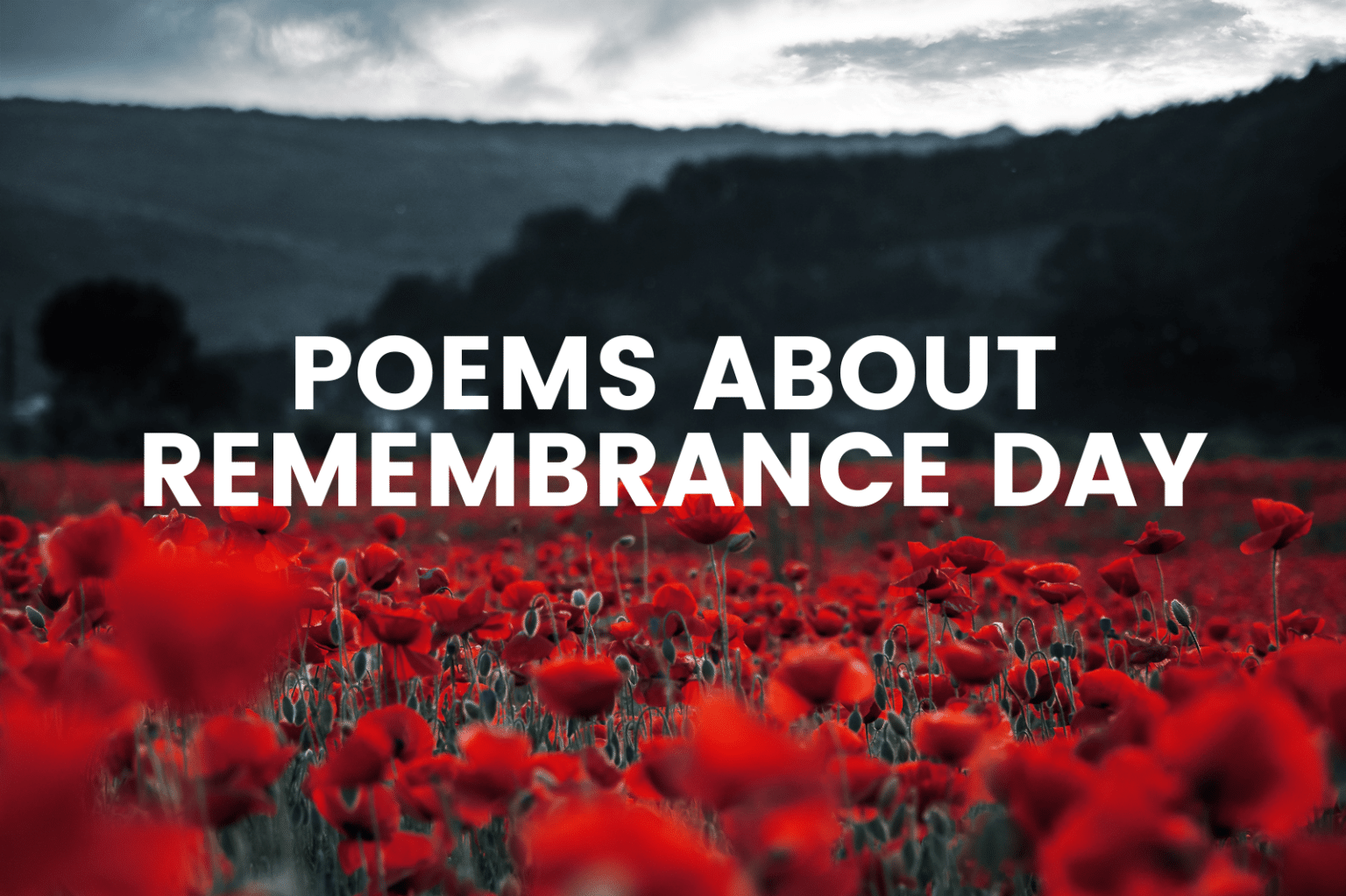 30 Poems About Remembrance Day - The Teaching Couple