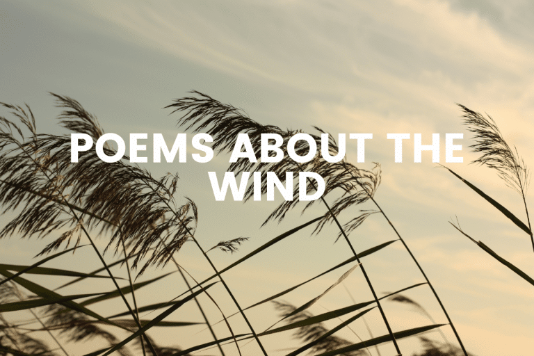 30 Poems About The Wind - The Teaching Couple