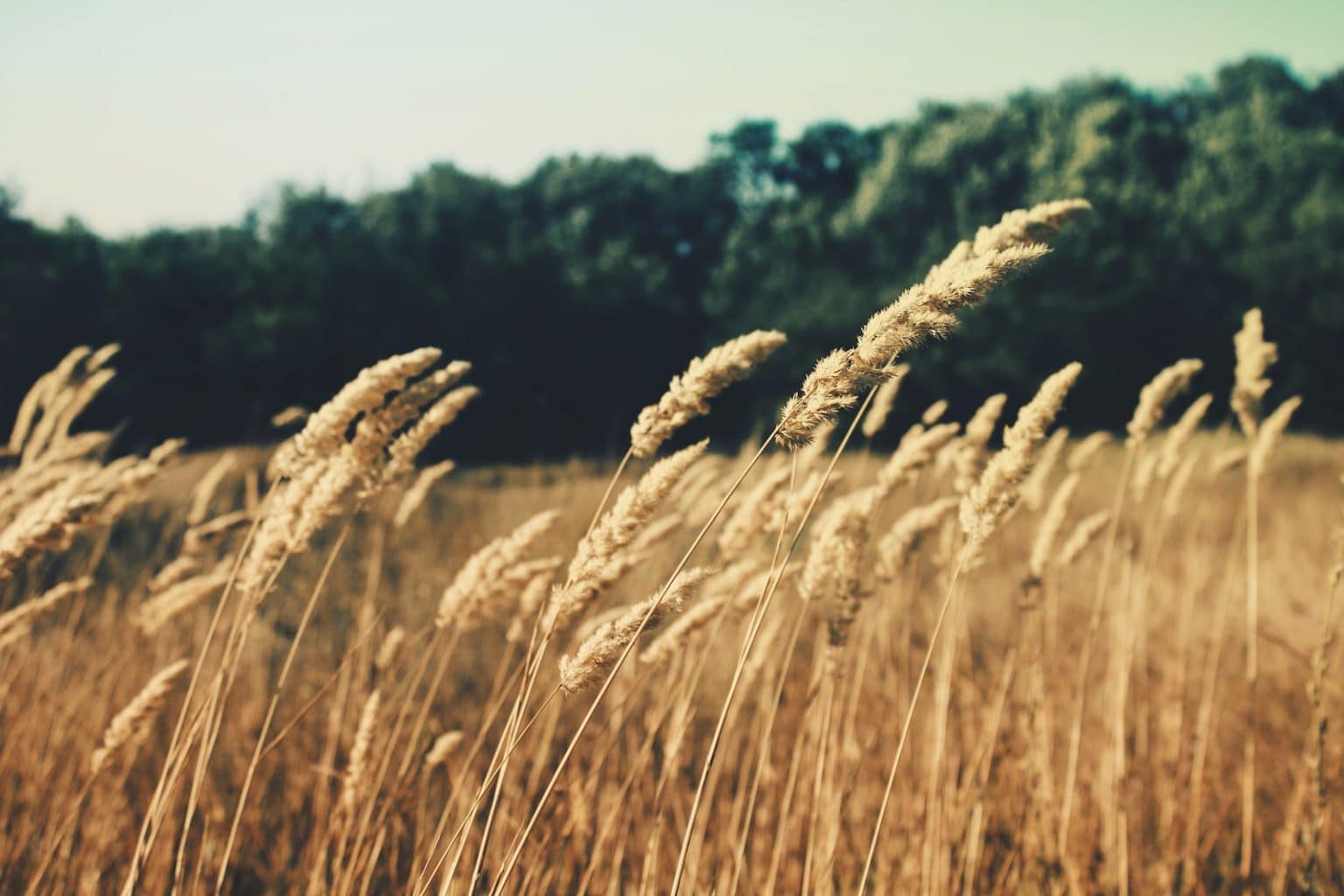The Top 10 Descriptive Paragraphs About The Wind - The Teaching Couple