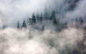 50 Poems About Mist - The Teaching Couple