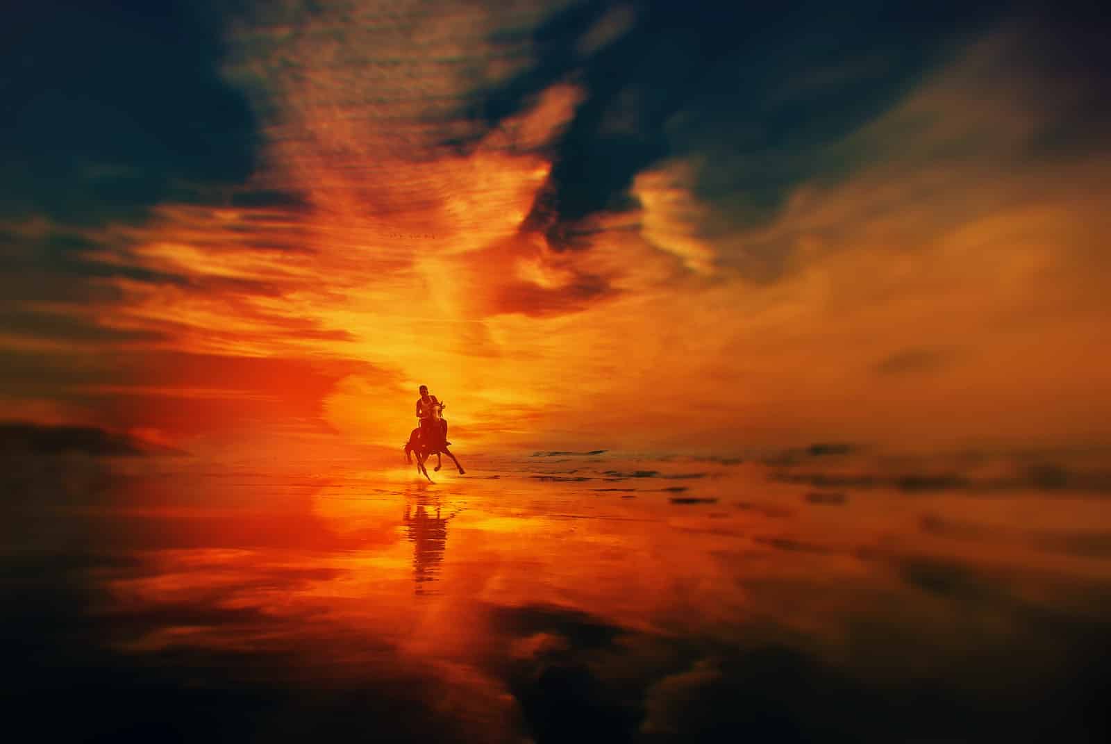 War Horse - Planning Overview - The Teaching Couple