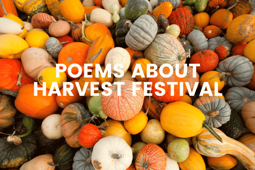 Harvest Festival Archives - The Teaching Couple