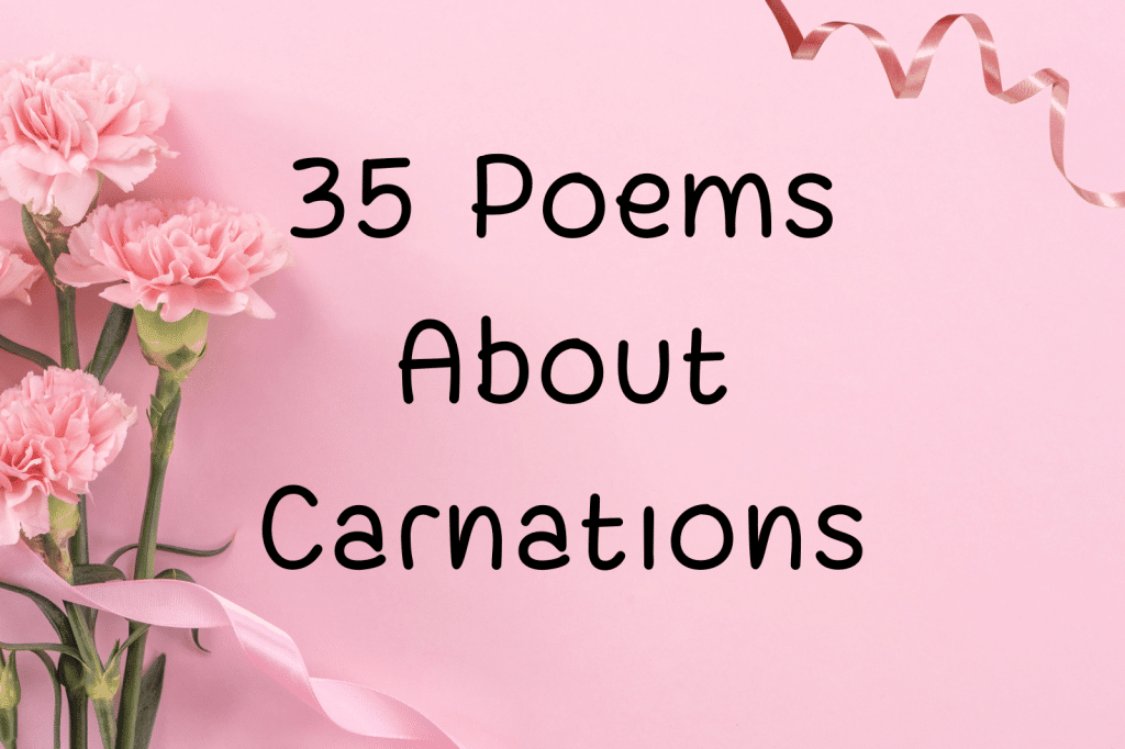 35 Poems About Carnations - The Teaching Couple