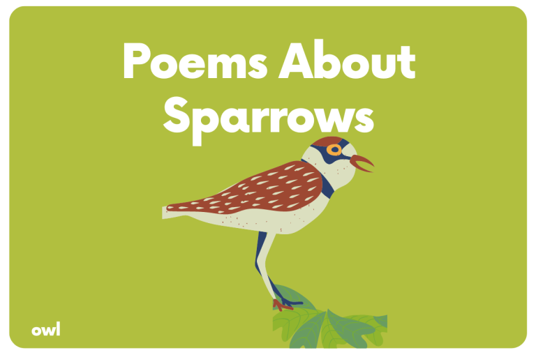35 Poems About Sparrows - The Teaching Couple