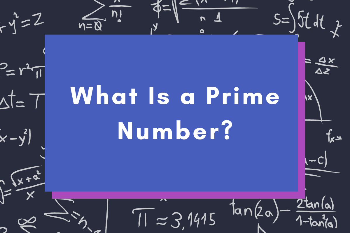 What Is A Prime Number The Teaching Couple